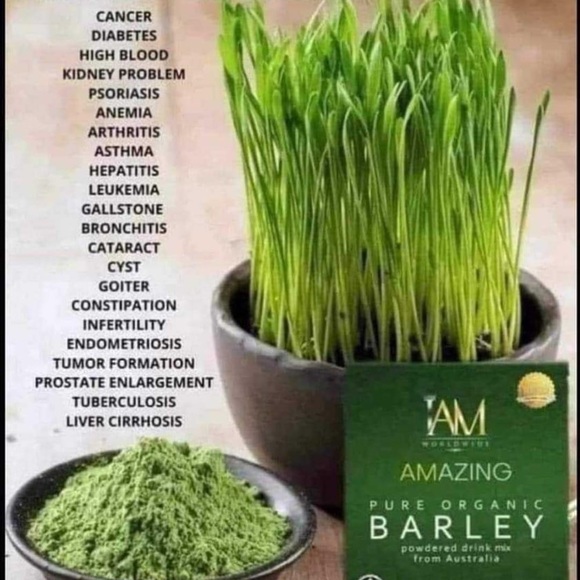 iamworldwide | Other | 2 Box Of Pure Organic Barley Powder Juice | Poshmark
